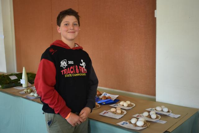 Penola Show returns bigger and better for 157th year | The Penola Pennant