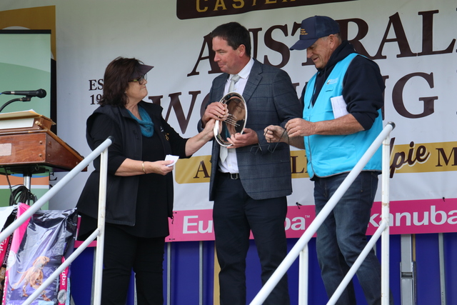 Kelpies dash into Casterton | The Penola Pennant