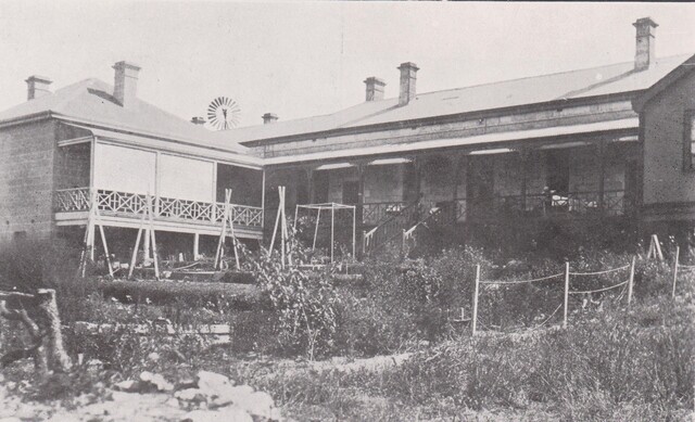 The legacy of Doctor Thyne | The Penola Pennant