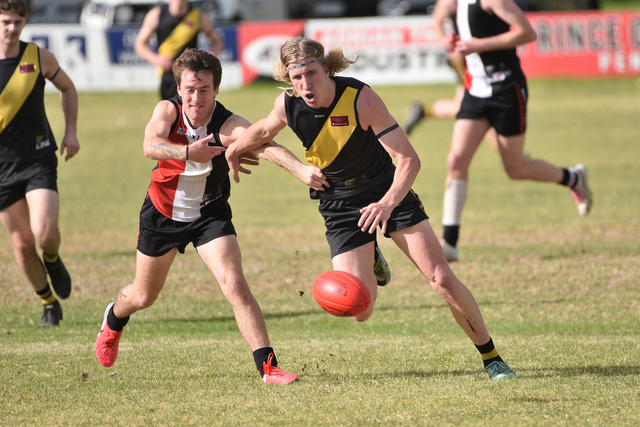 Hawks prevail in bottom-order battle | The Penola Pennant