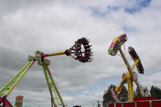 NaraShow_438766_23-1 | The Penola Pennant