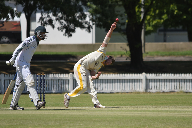 Tigers stumble in run chase | The Penola Pennant