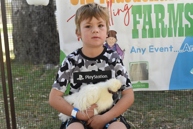Mundulla_463037_08 | The Penola Pennant