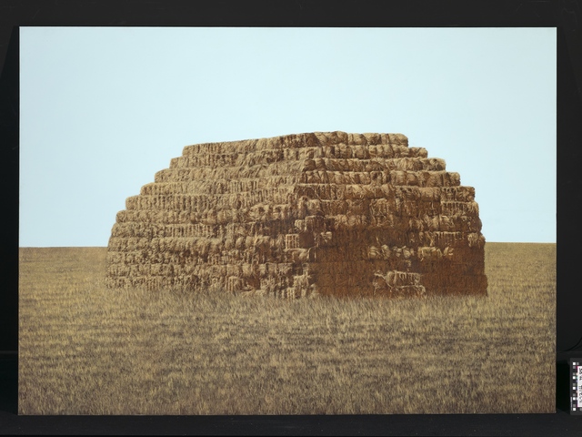 Exhibition opens at Riddoch | The Penola Pennant